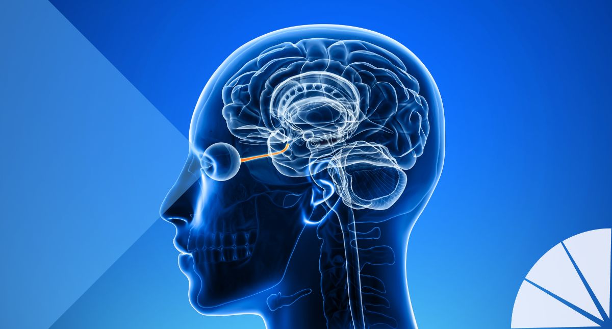 Cómo el desorden altera el flujo de información en el cerebro - Gamma Knife